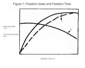 3 Factors Affecting Flotation Effect - JXSC Mineral