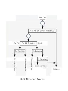 Differential & Bulk Flotation: Which is Right for Your Mine? - JXSC Mineral